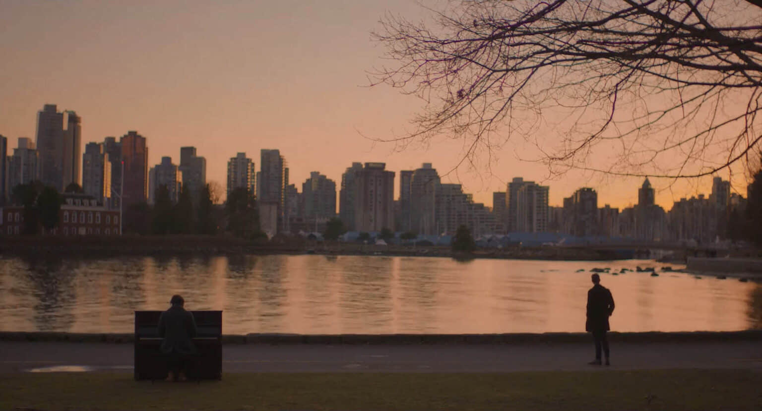 自由落体 Freefall (2017) - NICEGAY